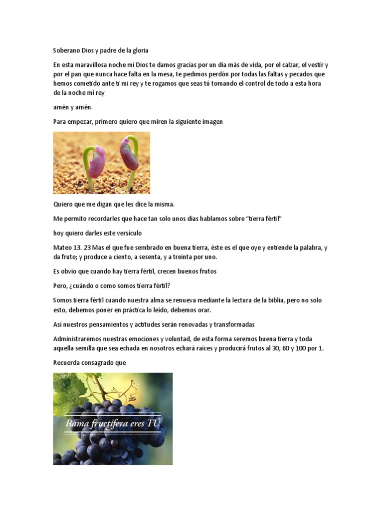 Rama Fructifera | PDF