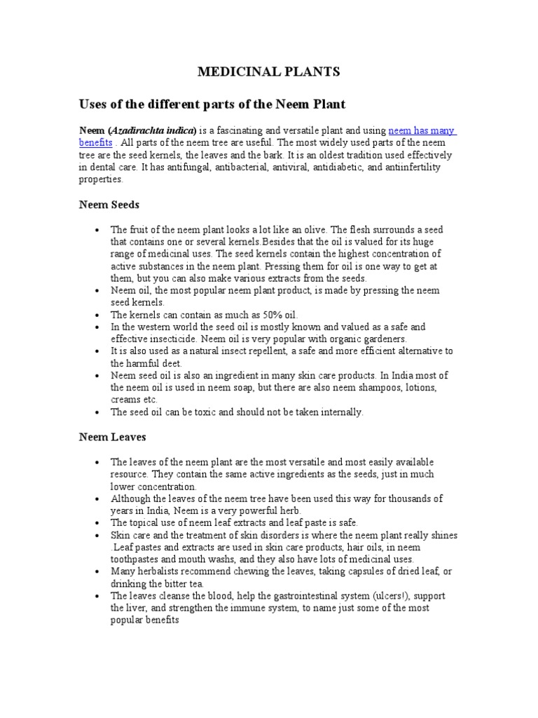 Uses of The Different Parts of The Neem Plant | PDF | Garlic | Plant ...