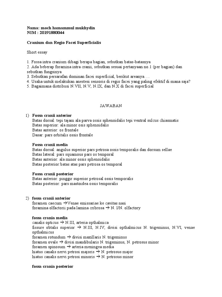 Anatomi 1 - (QUIZ) Cranium Dan Regio Facei Superficialis Prof ...