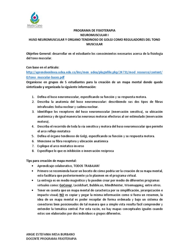 Mapa Mental Tono Muscular | PDF | Neurociencia | Sistema nervioso