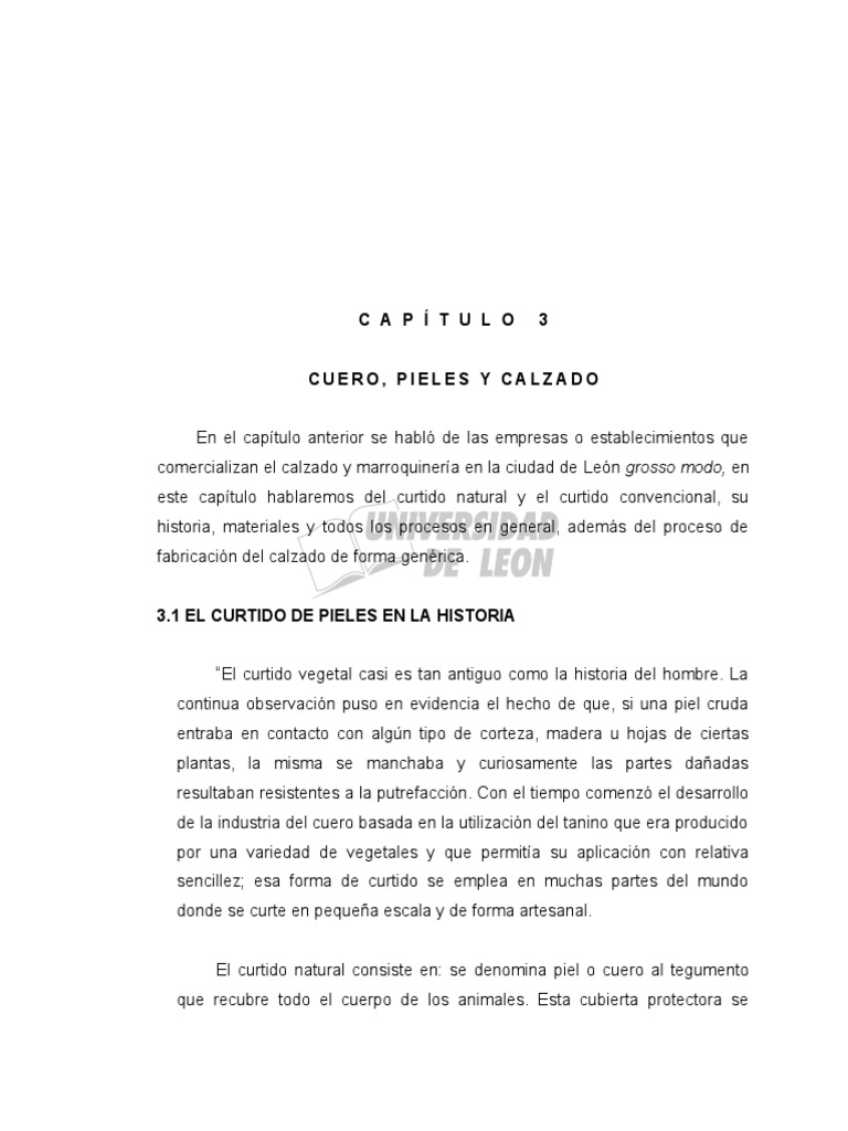 Capitulo 3 - Final | PDF | Cuero | Calzado