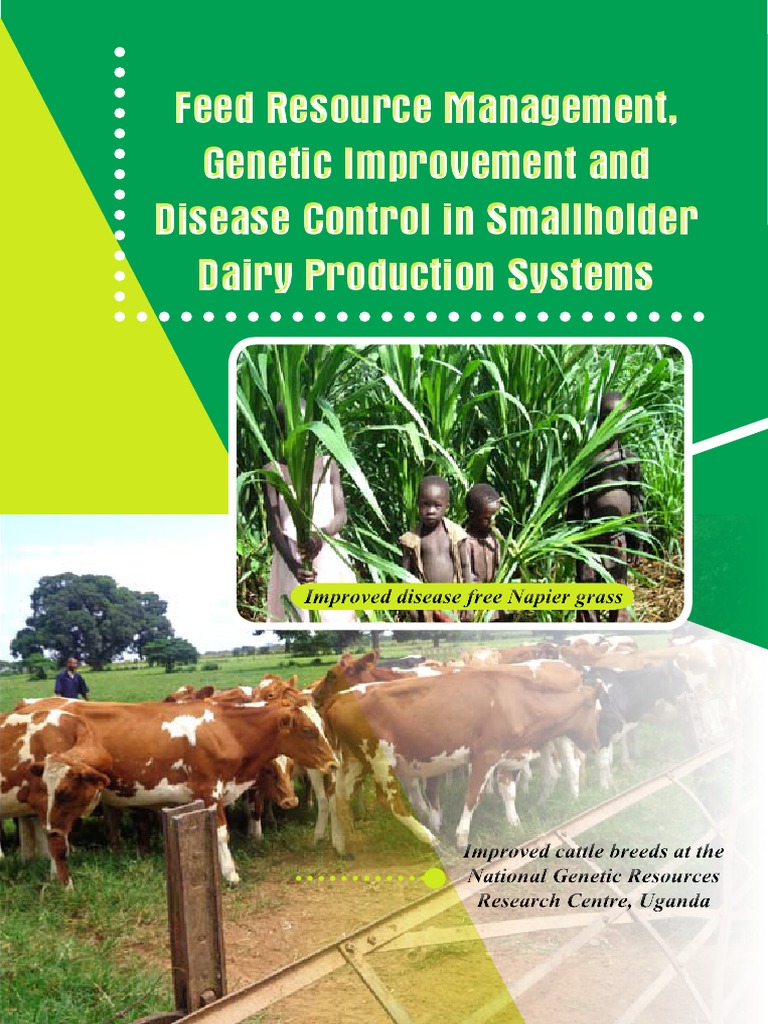 DAIRY BOOK by Jolly Kabirizi Et Al. | PDF | Dairy Cattle | Cattle
