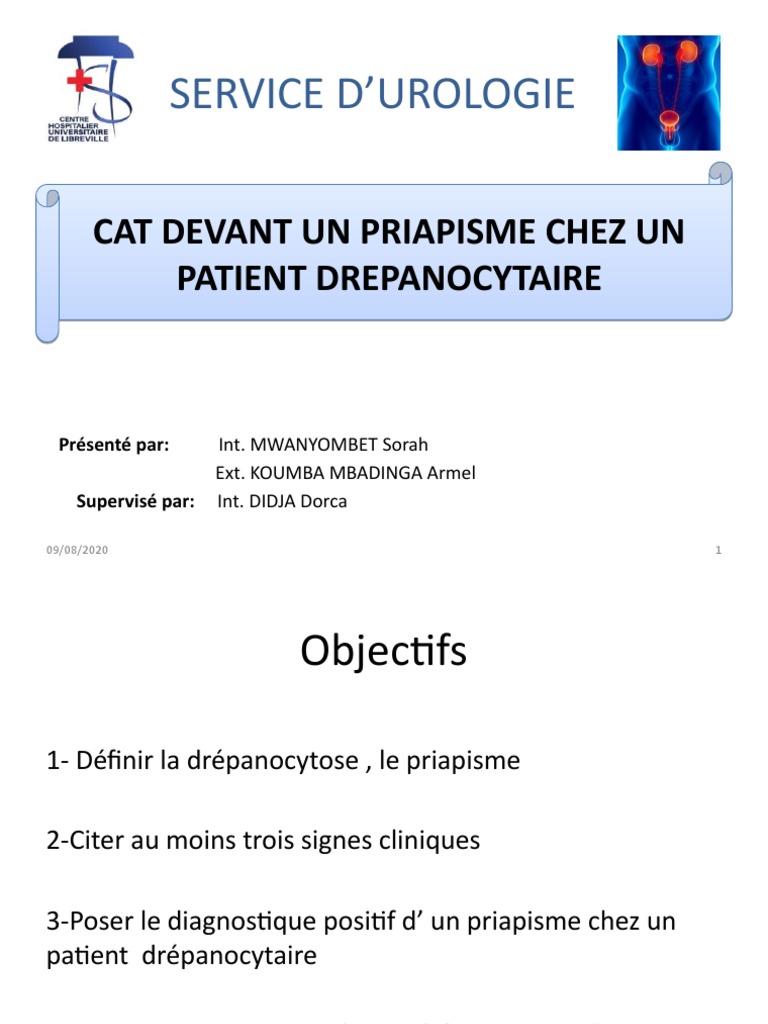 Priapisme chez patients drépanocytaires | PDF | Vaisseau sanguin | Artère