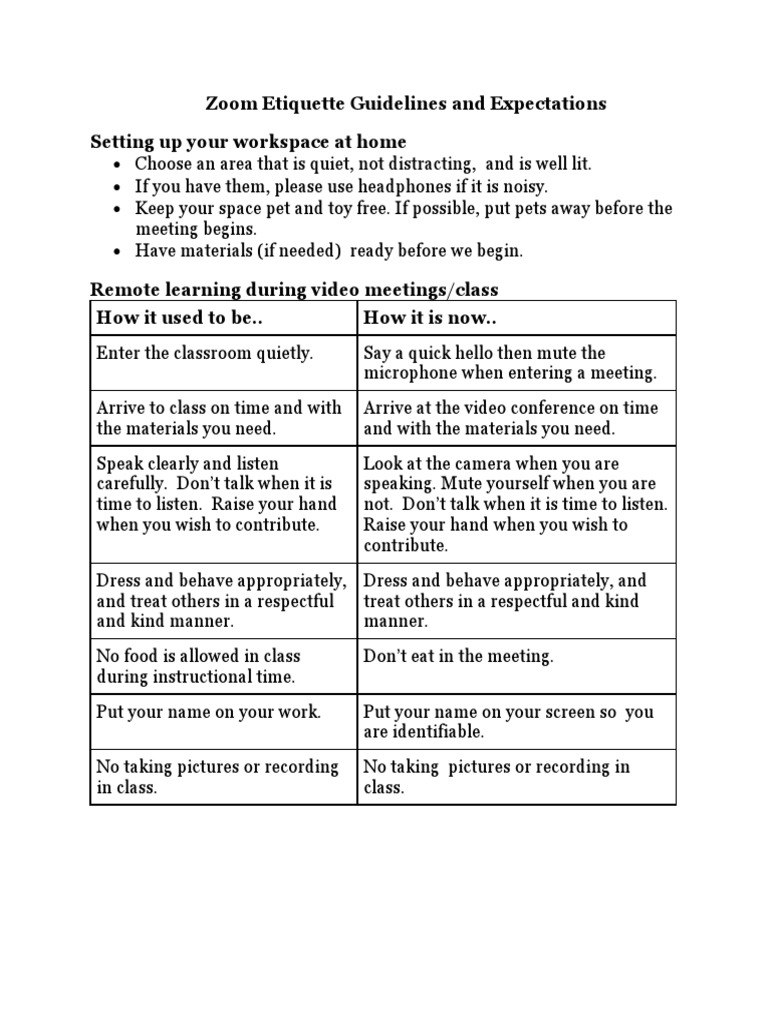 Zoom Etiquette Guidelines and Expectations | PDF
