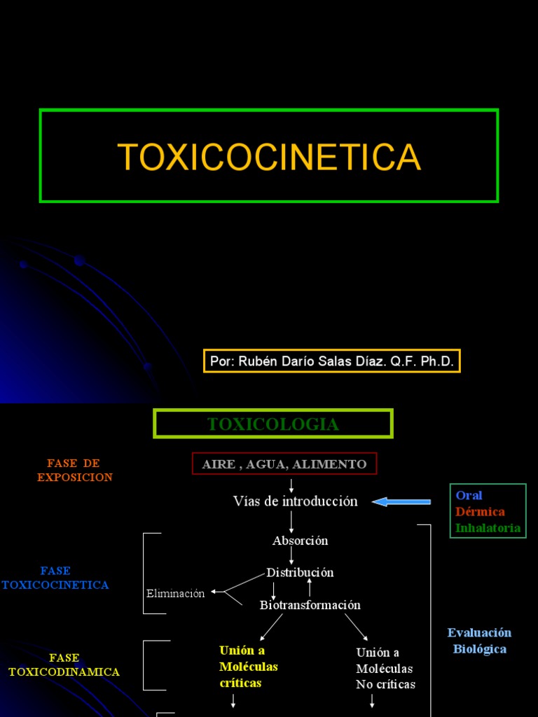 TOXICOCINETICA | PDF | Biotransformación | Glutatión