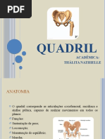 Tabela de KV e Mas | PDF | Membros (anatomia) | Sistema Locomotor