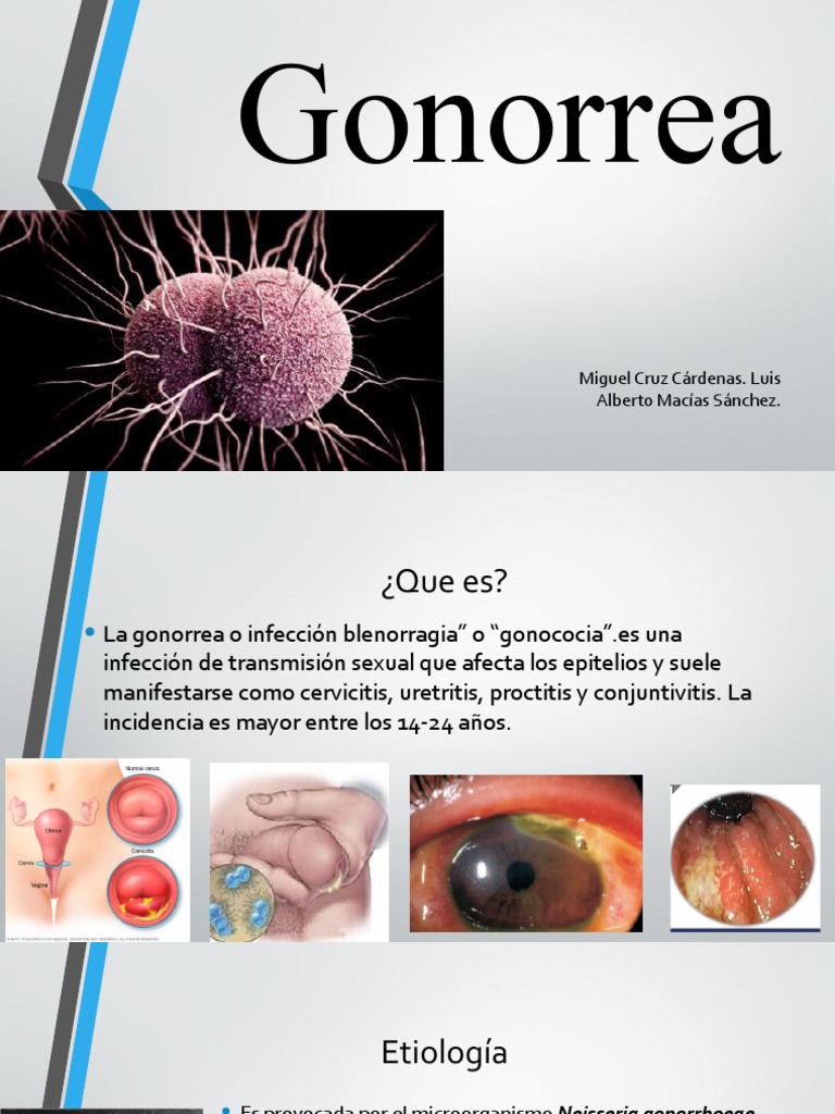 Gonorrea | PDF | Trastornos genitales masculinos | Rtt