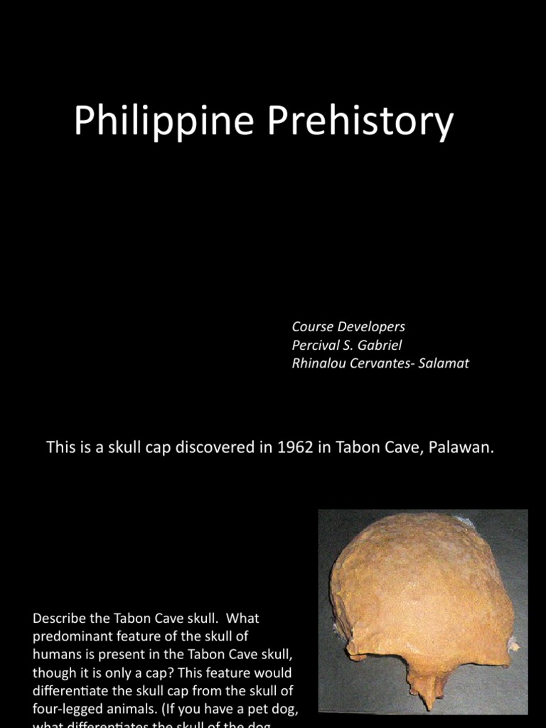 Insights on Philippine Prehistory | PDF | Academia | Philippines