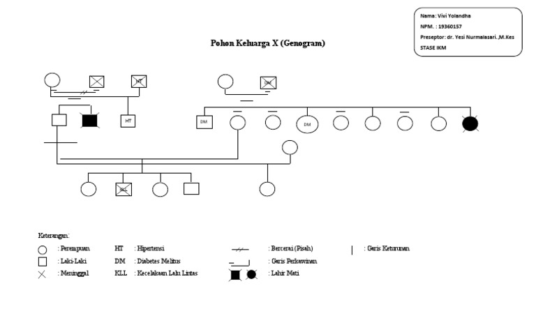 Pohon Keluarga X (GENOGRAM) Tugas IKM Dr. Yessi | PDF