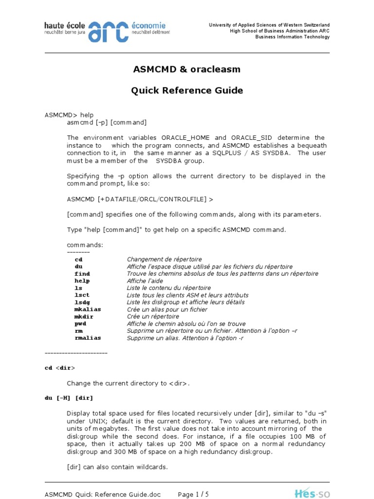 ASMCMD Quick Reference Guide | PDF | Operating System Technology | Areas Of Computer Science