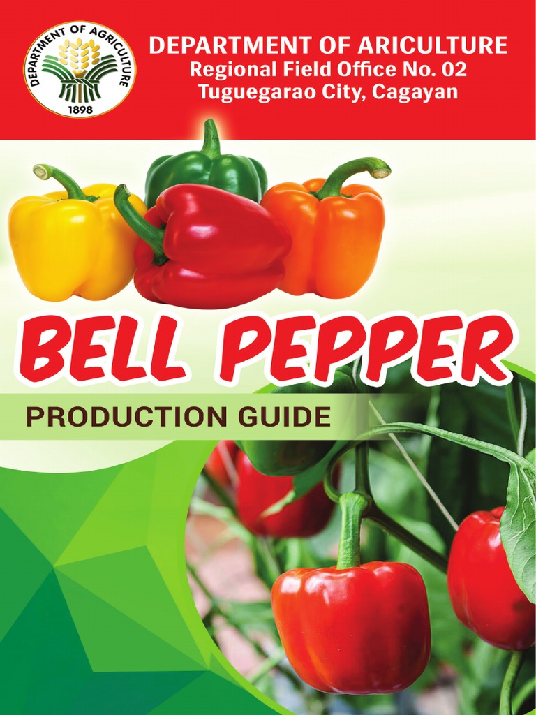 Bell Pepper Production Guide for Region 02 | PDF | Mulch | Fruit