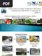 Azolla ZS 68 Technical Data Sheet | PDF | Lubricant | Building Engineering