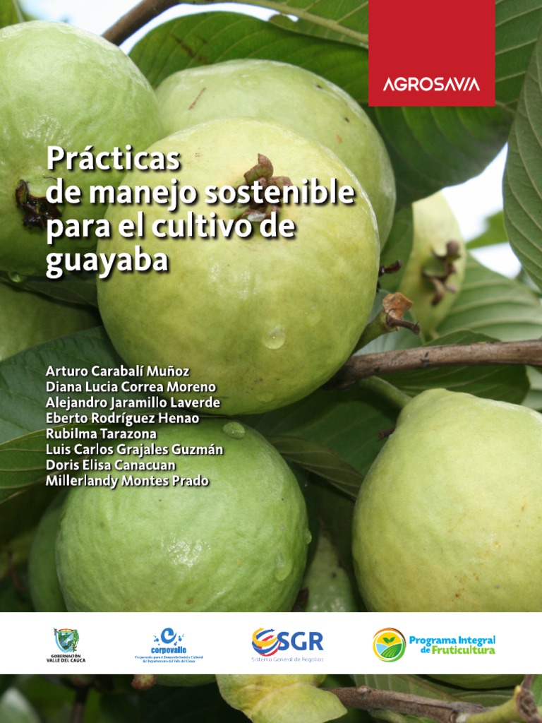 Guayaba | PDF | Fertilizante | Riego