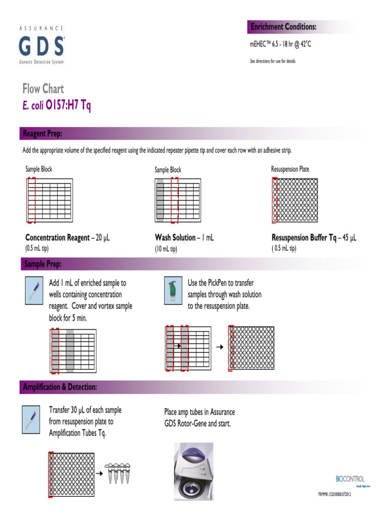 Flow Chart: E. Coli O157:H7 TQ | PDF