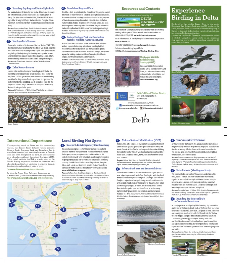 Birding in Delta | PDF | Bird Migration | Paravians