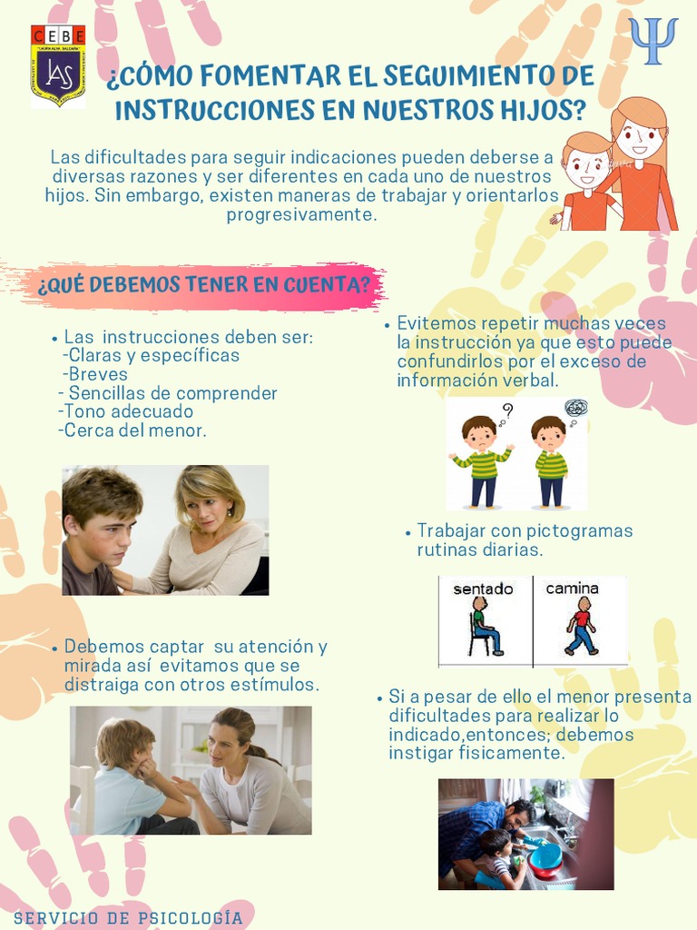 Seguimiento de Instrucciones | PDF