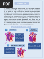 Precarga y Poscarga Cardíaca | PDF | Ventrículo (corazón) | Corazón