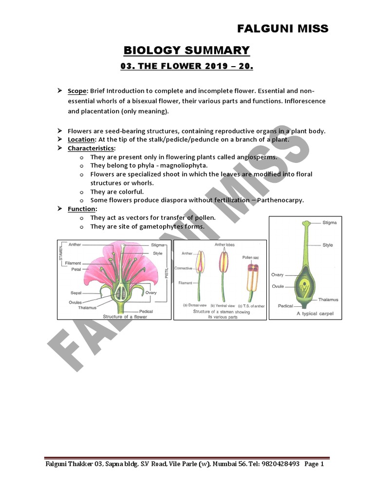 The Flower - BIOLOGY IX ICSE | PDF | Flowers | Petal
