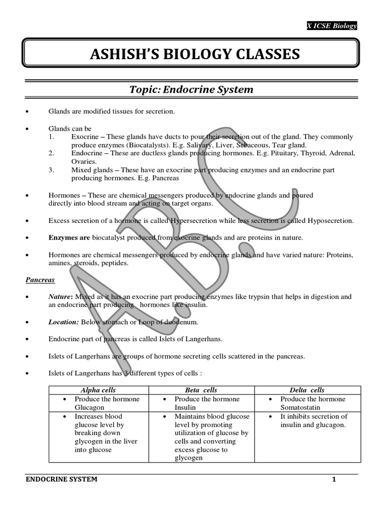 Class 10 ICSE Endocrine System Notes | PDF | Endocrine System | Pancreas