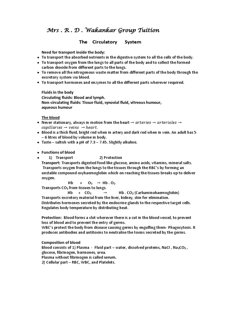 Circulatory System Notes | PDF | Heart Valve | Atrium (Heart)