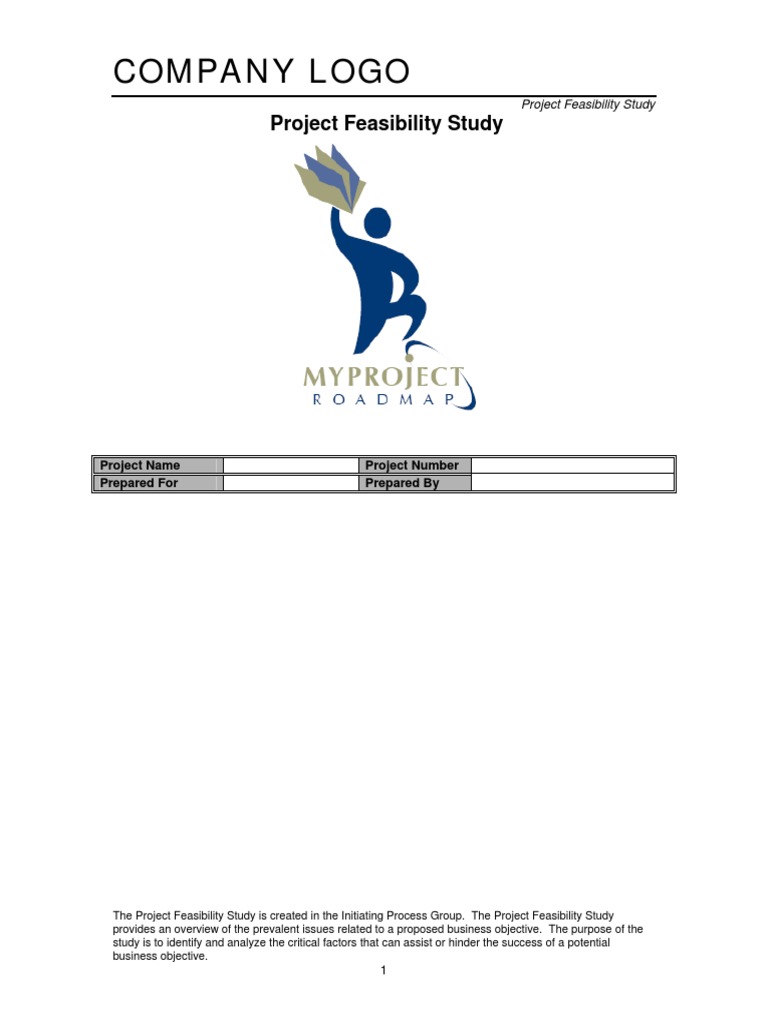 Company Logo: Project Feasibility Study | PDF | Feasibility Study | Risk