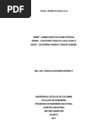 Plan de Mejora Polybol Sas - Logistica de Aprovisionamiento | PDF ...