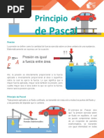 5 Ejercicios Resueltos de Principio de Pascal | PDF | Líquidos | Gases