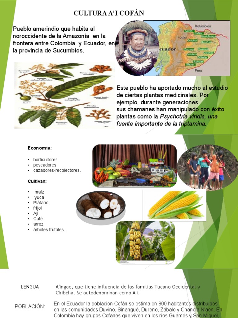 A'i Cofán | PDF