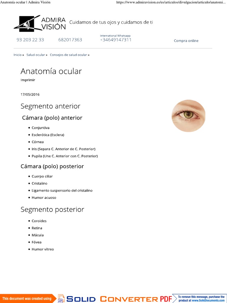 Anatomía del Ojo: Guía Completa | PDF