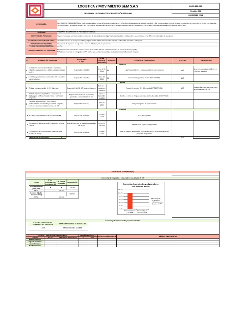 Programa de Epp | PDF | Logística | Business