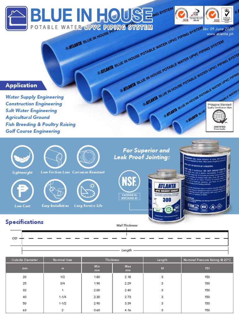 NEW Atlanta Blue in House 2020 | PDF | Economic Sectors | Gas Technologies
