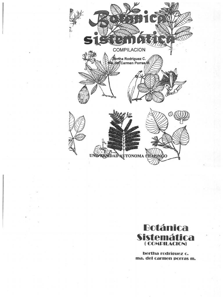 Botamica Sistematica | PDF