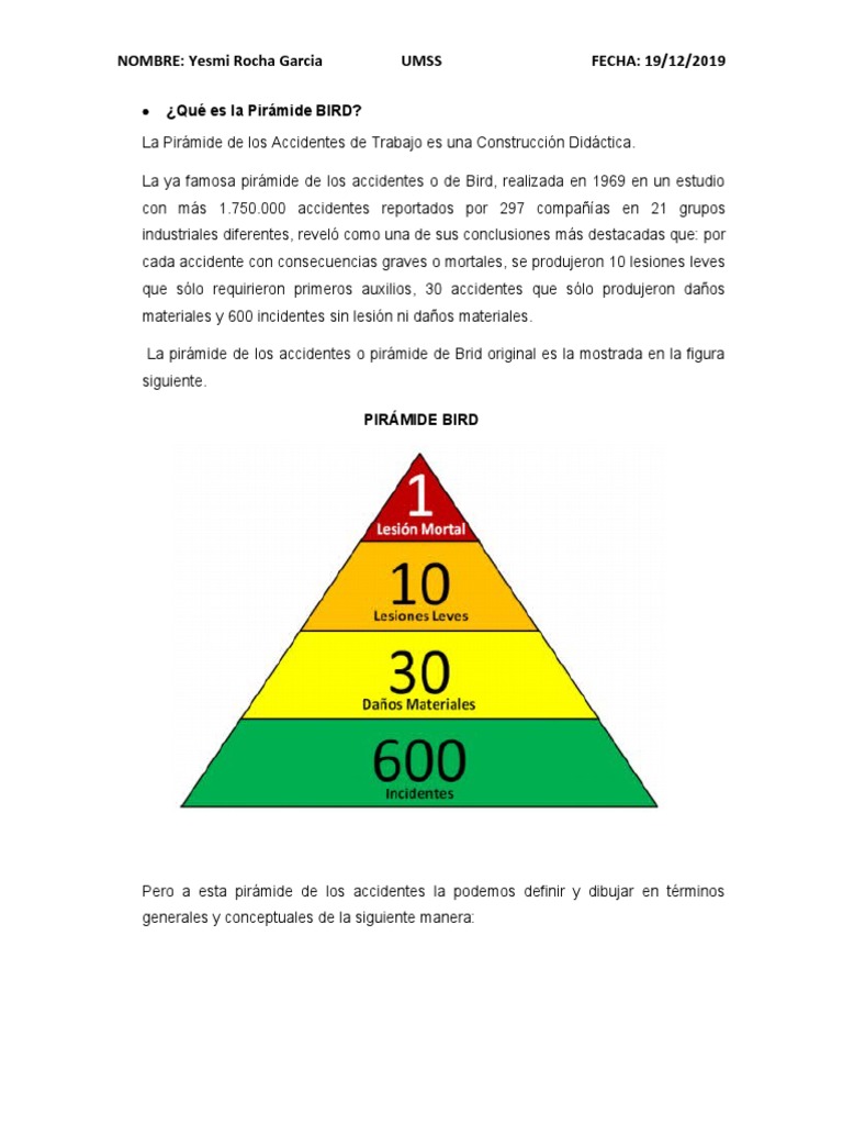 Pirámide BIRD YESMI | PDF | Primeros auxilios | Bienestar
