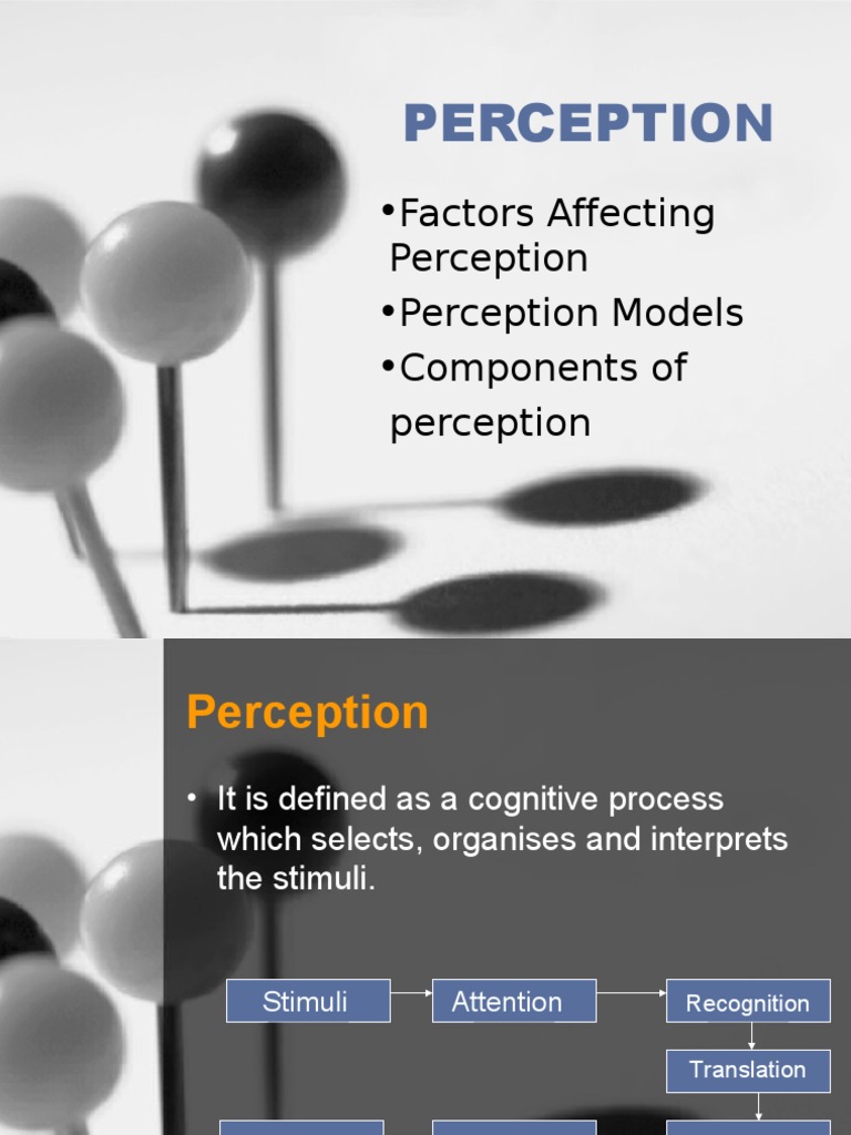 Perception: - Factors Affecting Perception - Perception Models ...