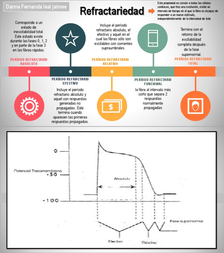 Refractariedad | PDF | Fisiología | Biología