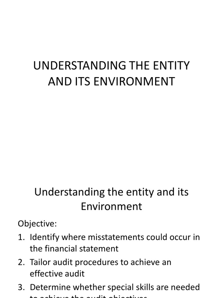 Understanding The Entity and Its Environment | PDF