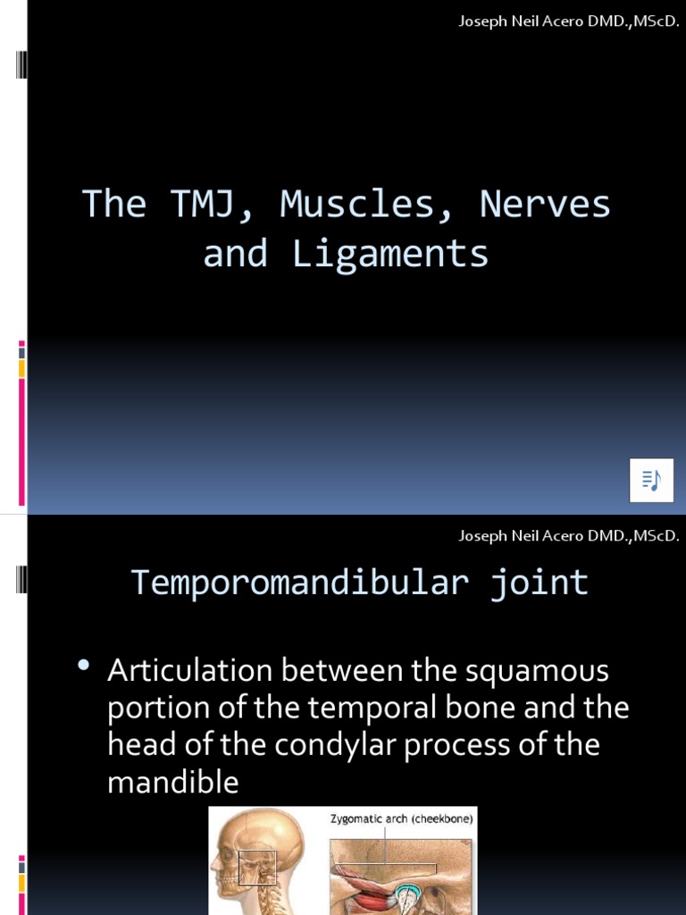 The TMJ, Muscles, Nerves, and Ligaments With Voice Over - PPSX | PDF ...