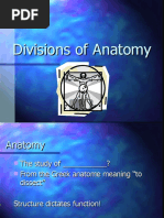 Labeled Human Torso Model Activity | PDF | Human Body | Organ (Anatomy)