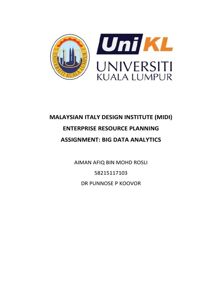 Big Data Analytic Report | PDF | Analytics | Big Data