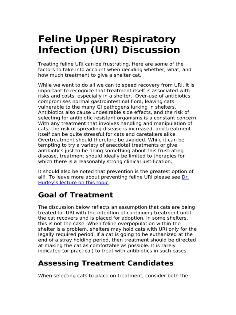Feline Upper Respiratory Infection Uri Discussion.20181114174457 | PDF ...