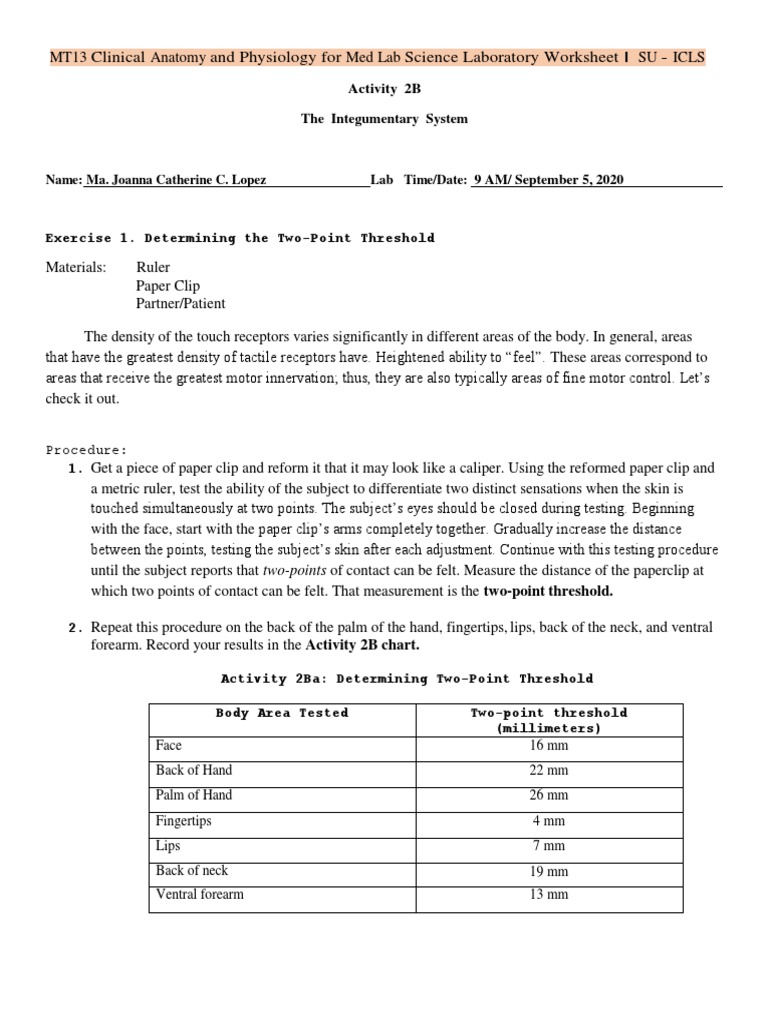 Integumentary System Lab Worksheet | PDF | Epidermis | Sensory Organs