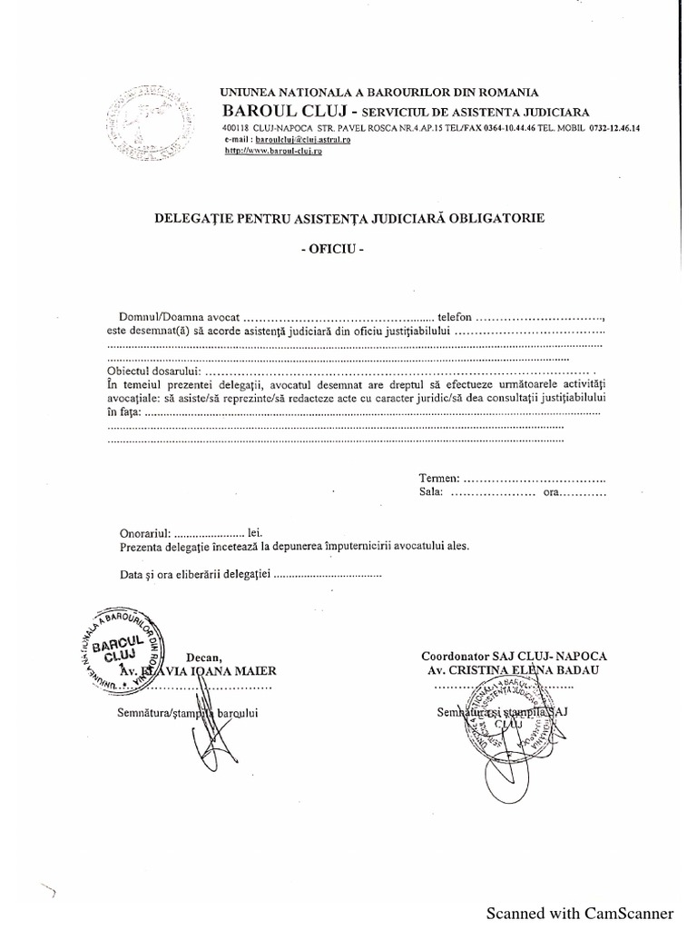 1-Delegatie Speciala | PDF