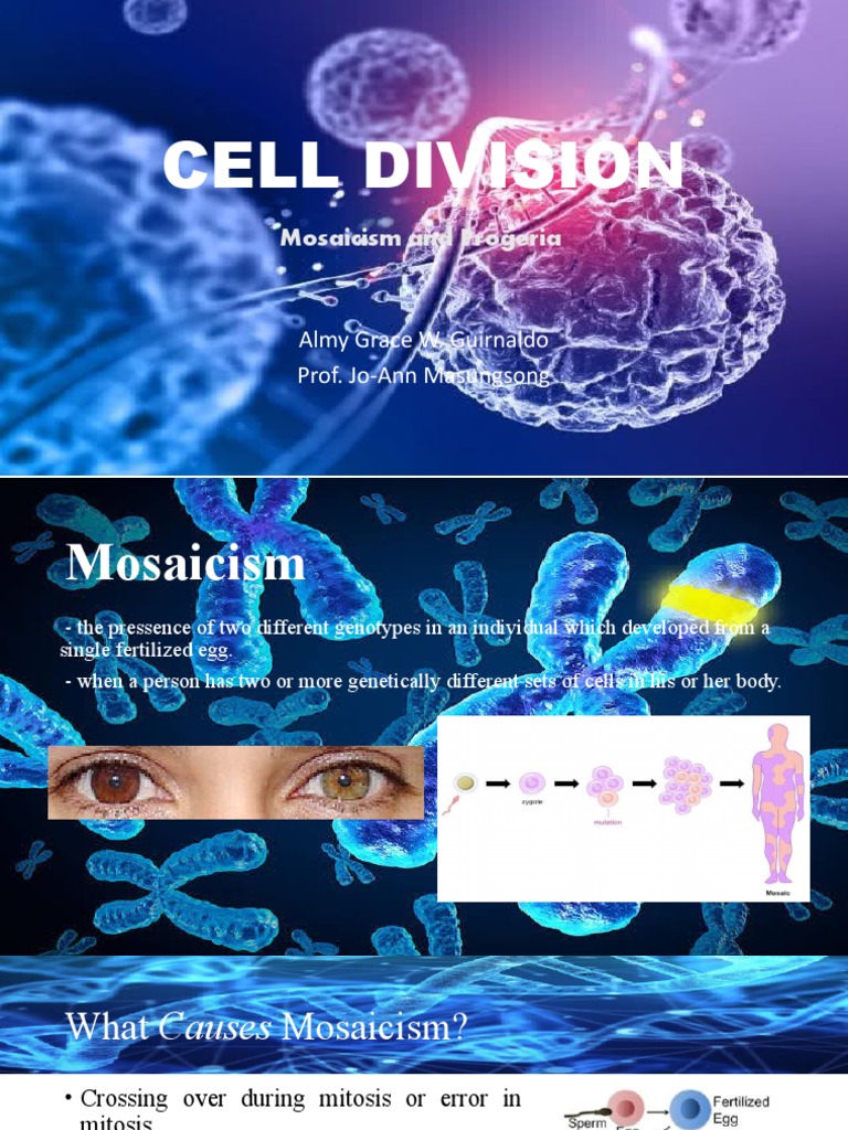 Cell Division: Mosaicism and Progeria | PDF | Genetics | Medicine