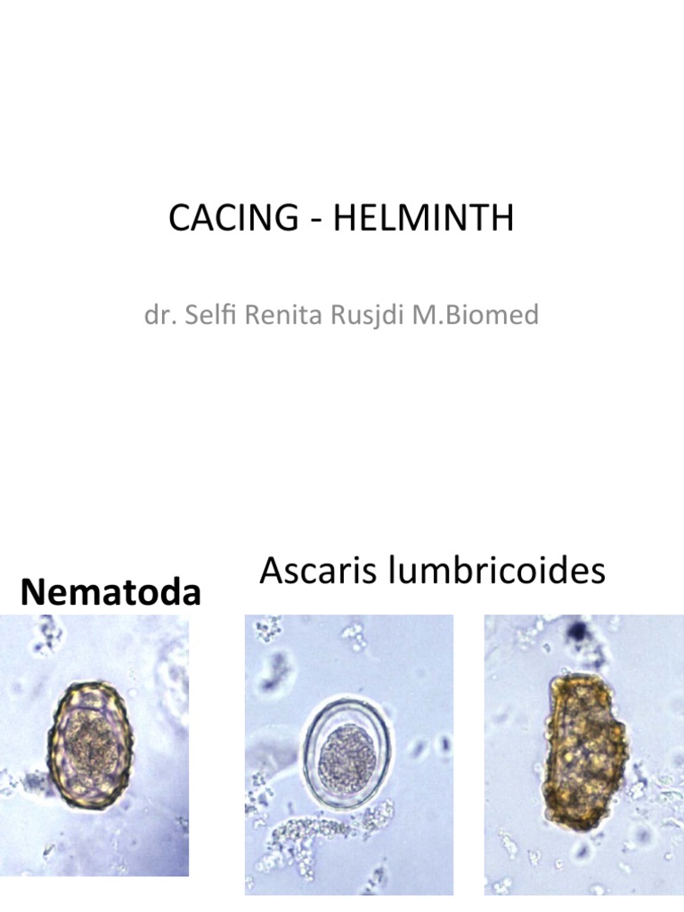 Helminth Classification and Types | PDF