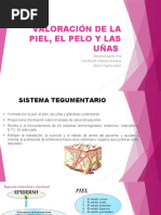 Regla de Los 9 de Wallace | PDF | Salud y bienestar | Historia