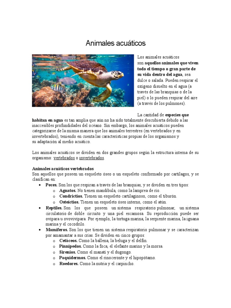 Animales Acuáticos Pdf Branquia Vertebrados