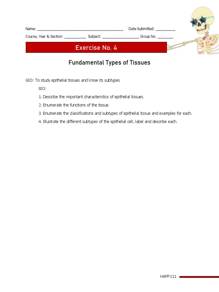 Exercise No. 4: Fundamental Types of Tissues | PDF