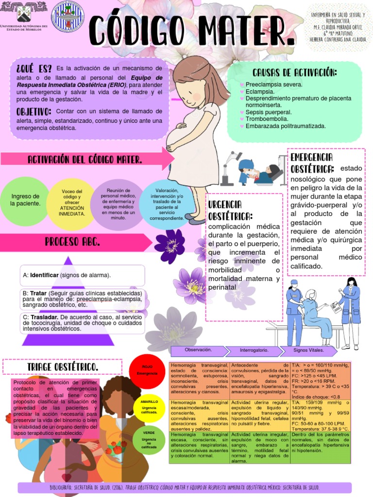 Erio-Equipo de Respuesta Inmediata Obstetrica | PDF | Reproducción ...