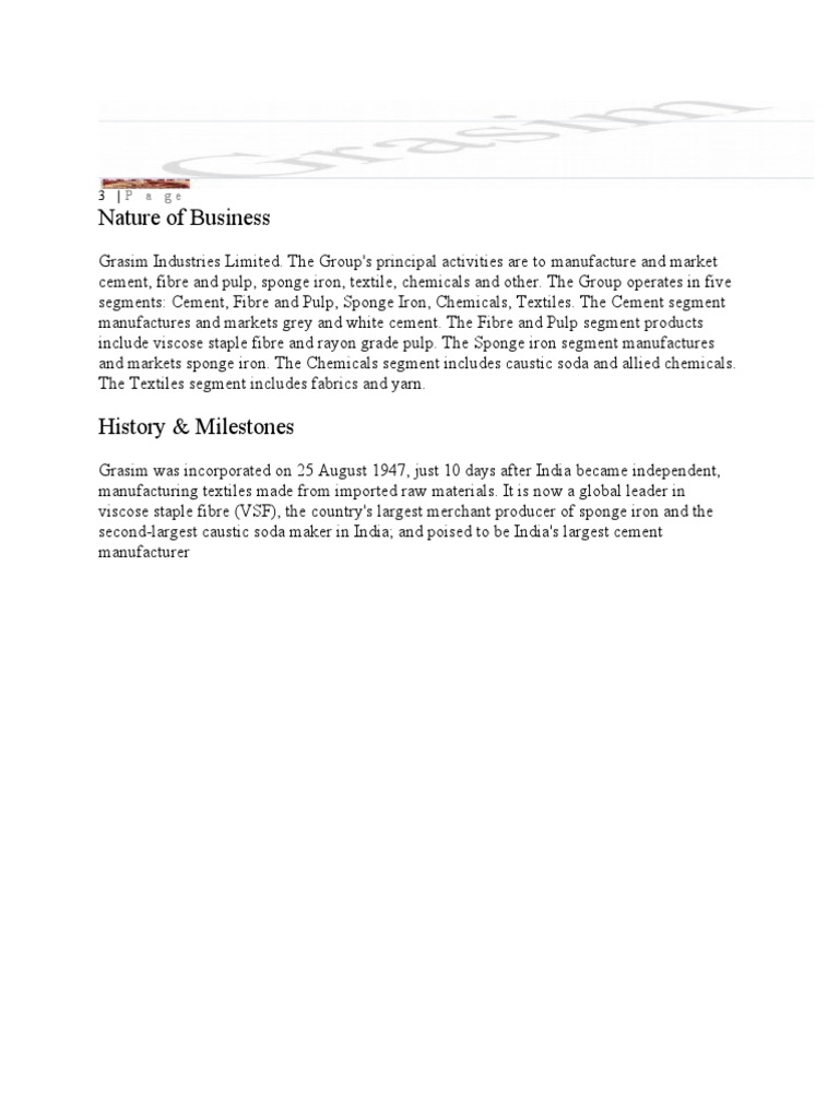 Grasim Industries Business Segments Overview | PDF
