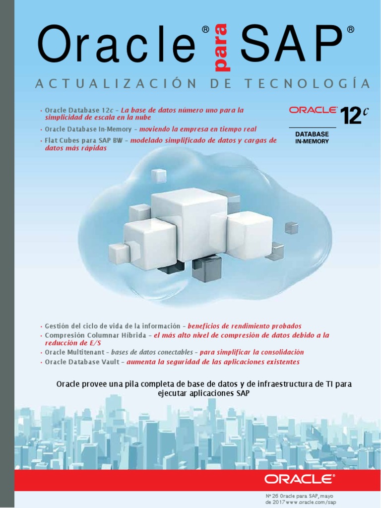 Oracle Sap Newsletter Vol26 Esp 3900548 PDF | PDF | Sap Se | Oracle ...